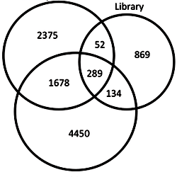 Venn Diagram showing numbers of overlapping sequences from each library ...