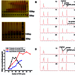 Conventional PCR amplification of a DNA random library versus emulsion PCR.