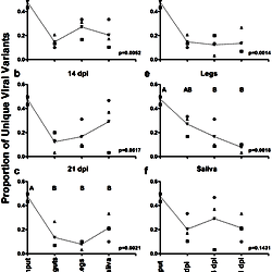 Proportion unique viral variants by time and tissue.