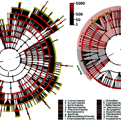 Evolutionarily conserved core gene sets calculated using the NCBI ...
