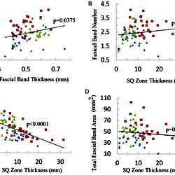 Bivariate linear fit between SQ zone variables.
