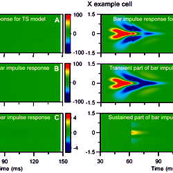 Predicted ‘one-dimensional impulse response’, i.e., impulse response ...