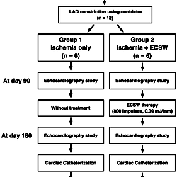 Detailed protocol and procedure.