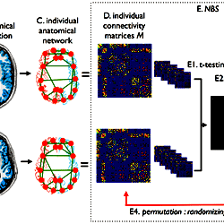 Overview of the network selection procedure and the Network Based ...