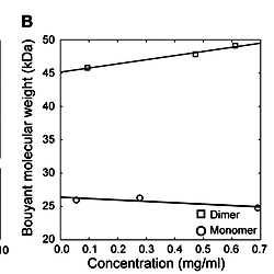 Sedimentation Equilibrium Analysis and BS3 crosslink of MMP-9 monomer ...