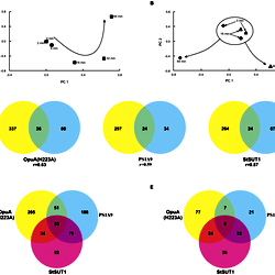 Analysis of proteome and transcriptome data.