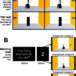 Methods for visuo-spatial perspective-taking tasks (Experiment 1).