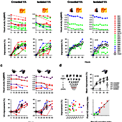 Improved visual acuity (VA) with video-game experience.