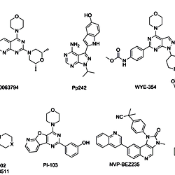 Inhibitors selected for this study.