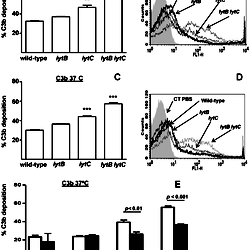 C3b deposition on lytB, lytC and lytB lytC D39 strains using a flow ...
