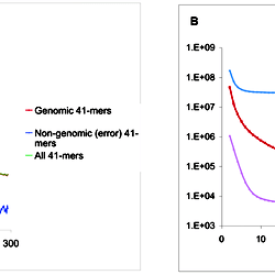 k-mer frequency and extension characteristics in Pichia.