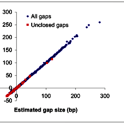 Estimated gap sizes vs. actual contig separation in the Pichia genome.