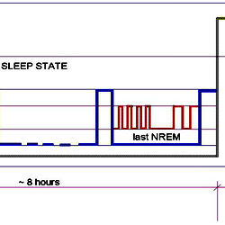 Overview of SCN sleep timers.