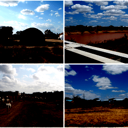 Pictures of Masalani.