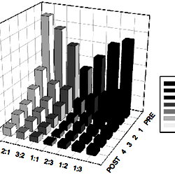 Four days of practice with augmented visual feedback overcomes all of ...