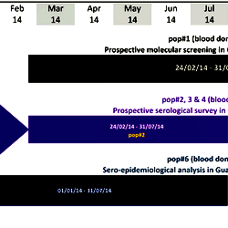 Flow chart of sample collection.