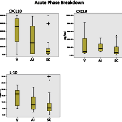 The stages of CHIKV Acute phase were marked by changes in CXCL10 and IL-10.