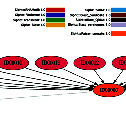 Sipht Workflow DAX (30 jobs) example.