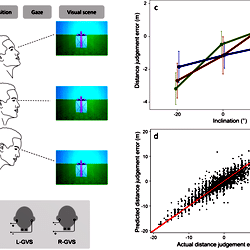 Experimental set up and results.