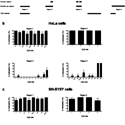 Structure of the BRD1 promoter regions and methylation proportions in ...