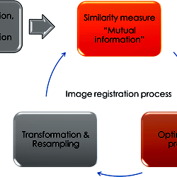 Sequence of the different automated image processing steps from the set ...