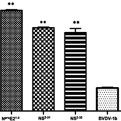 Validation of mosaic antigens using BVDV-specific T-cells.