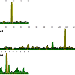 Patterns of read mapping to four different reference sequences.