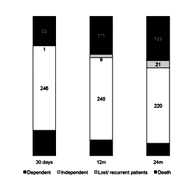 Evolution of functional status of 407 patients with all stroke types ...