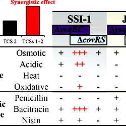 The summary of synergistic effects.