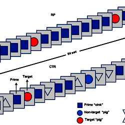 Experimental design: schematic diagram of sequences used in RP (upper ...