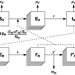 Schematic representation of the vector-host model.