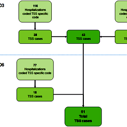 Flow diagram of TSS case ascertainment.