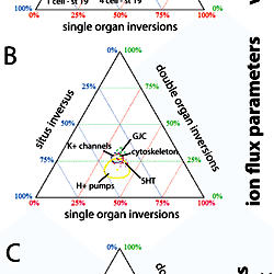 Ternary plots reveal unique signatures of inverted organs depending on ...