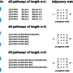 Example of network communicability calculus using adjacency matrices.