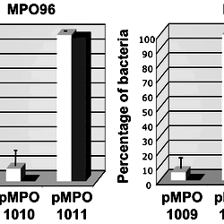Plasmid stability and expression of functional colicine without ...