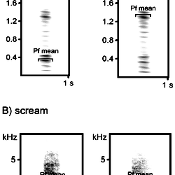 Comparison of peak frequency (PF mean) from two different call types.
