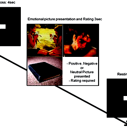Stimulus presentation protocol and examples of pictures used in the study.