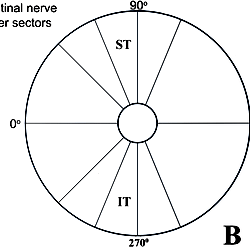 Relationship between optical coherence tomography sector peripapillary ...