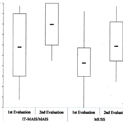 Descriptive analysis of the percentages obtained in the IT-MAIS/MAIS ...