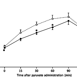 Pyruvate tolerance test in SD rats at 15 weeks old.