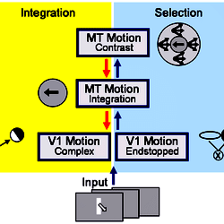 Model overview.