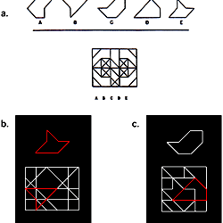 The Embedded Figures Task (and related variant) measures a participant ...