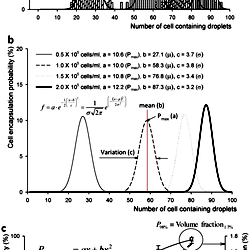 Probability distribution functions of Bernoulli's random variable, Xd.
