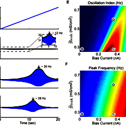 Spiking responses to zap current input display a resonance.