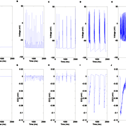 Firing activities and field potentials in different modes of the network.
