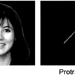 Example of a Visual Paired Associate.