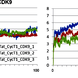 Molecular dynamics (MD) simulation.