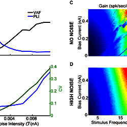 Effects of varying noise intensity on the VAF and PLI.