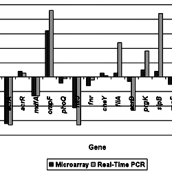 Comparison in expression ratios of 22 randomly selected genes between microarray and real time-PCR.