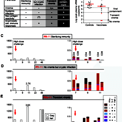 Degrees of protection.